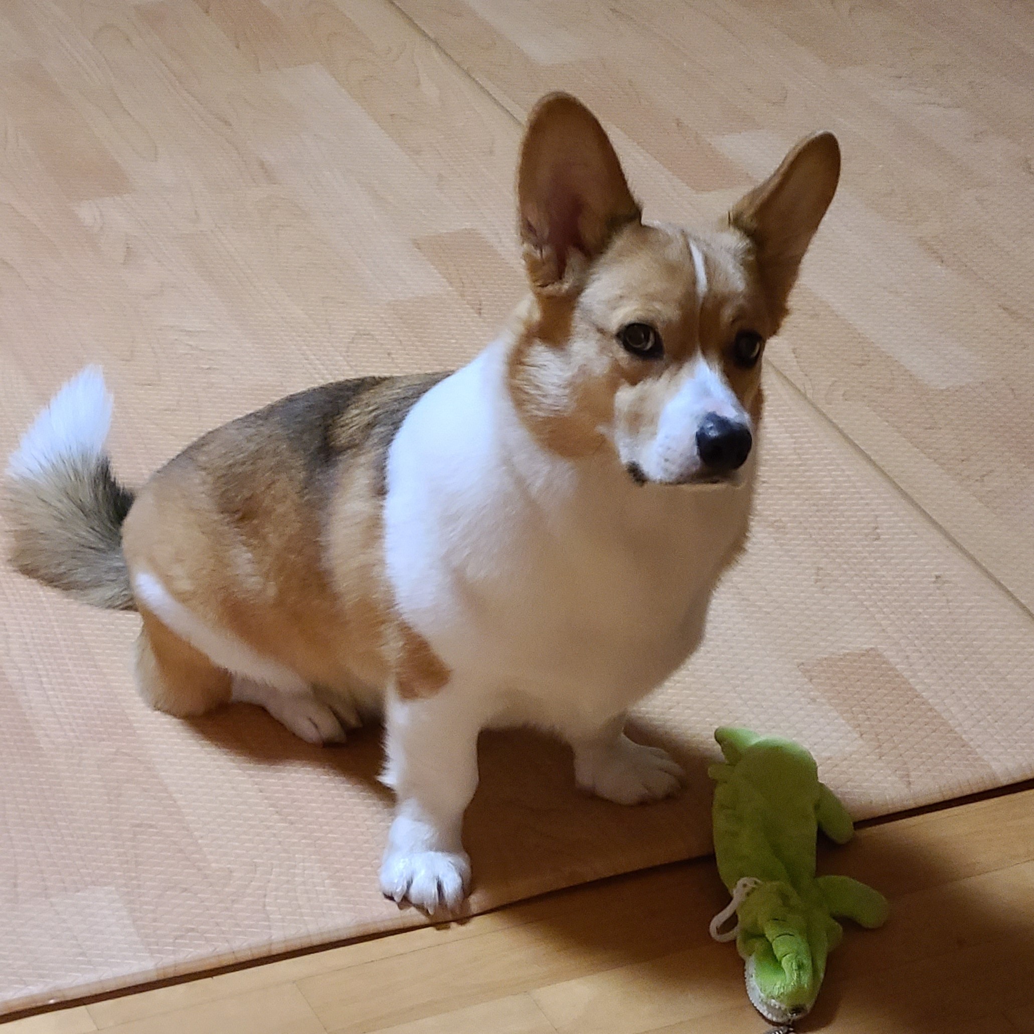 Hi everyone~! - Lukas’s Blog